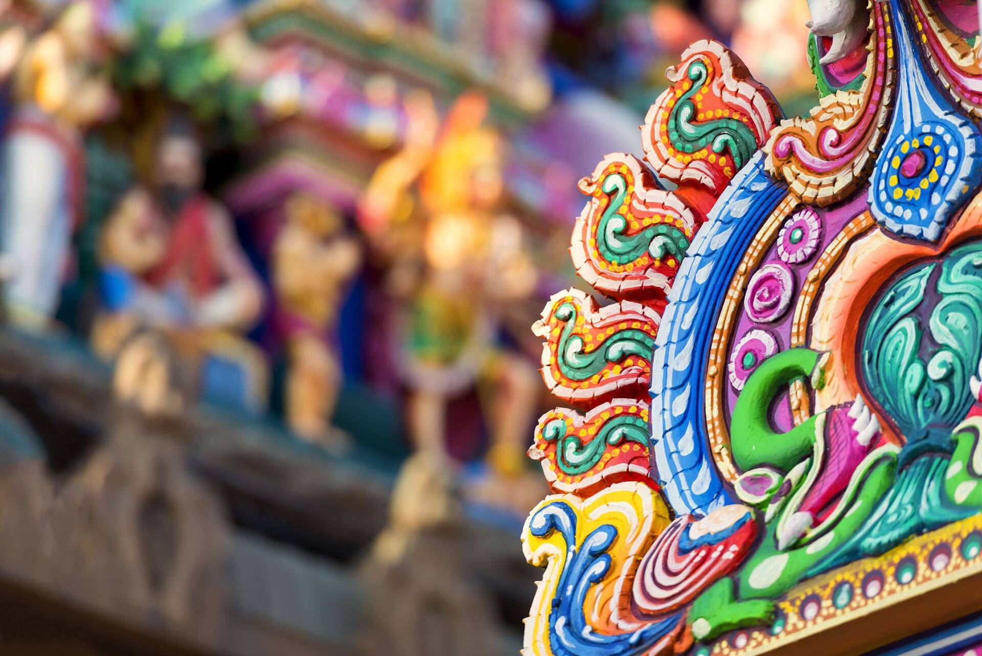 India-Zuid - reisprogramma anders dan anders - anders dan anders